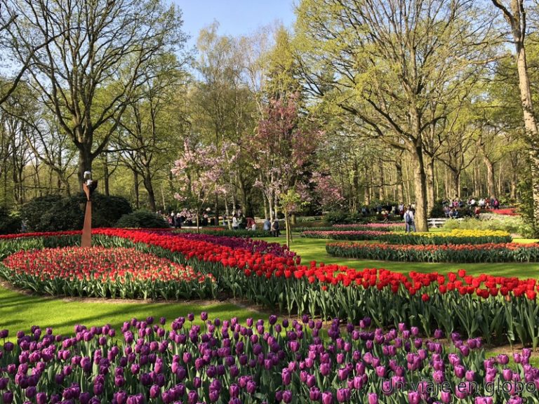 ¿Cómo visitar Keukenhof?